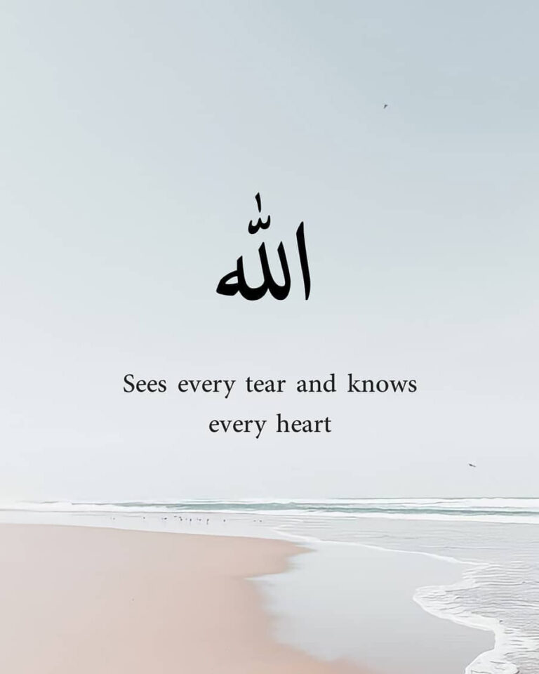30+ Beautiful Allah knows Quotes (with images) | islamtics
