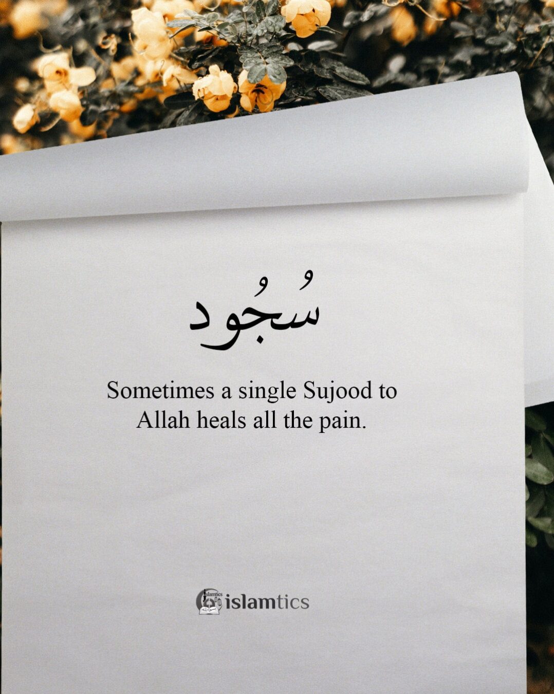 Sujood to Allah heals all the pain. | islamtics