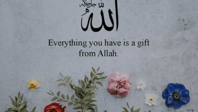 They are the best | ISLAMTICS