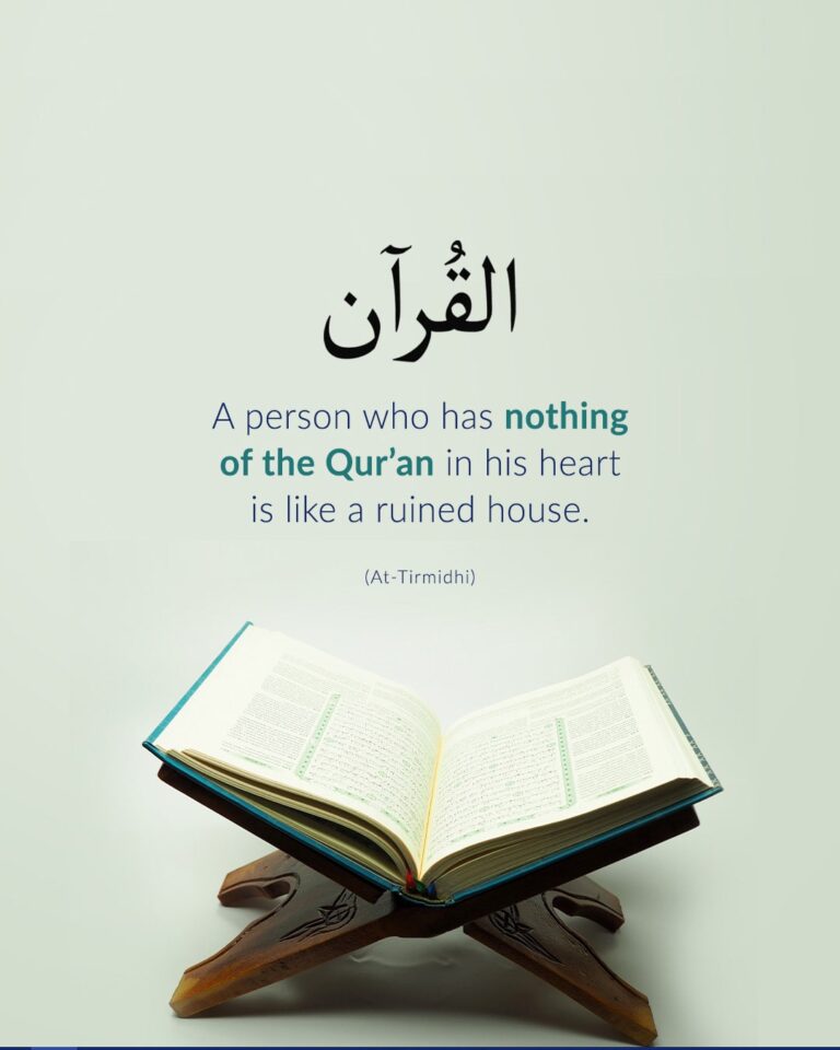Al_Quran One Book Thousand Feelings | ISLAMTICS