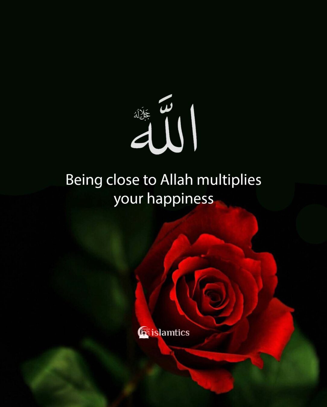 Being close to Allah multiplies your happiness | islamtics