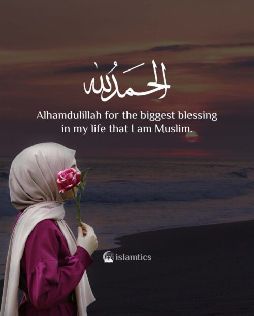60+ Beautiful Alhamdulillah Quotes (With Images) | islamtics