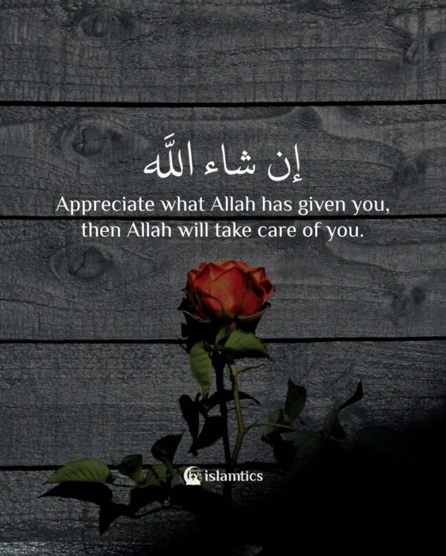 Appreciate what Allah has given you, then Allah will take care of you ...