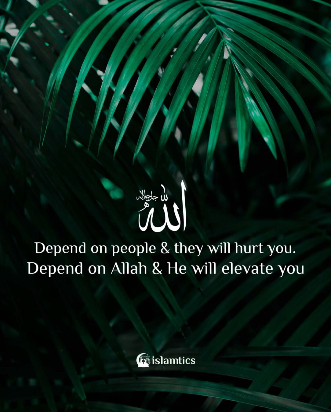 Depend on Allah & He will elevate you | islamtics