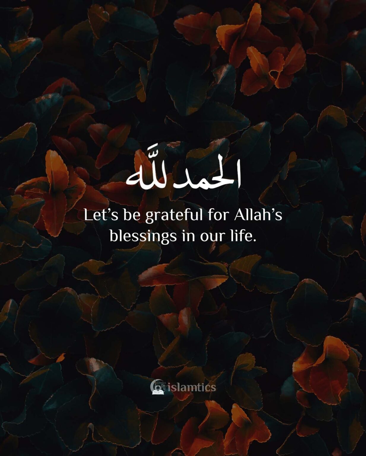Let’s be grateful for Allah’s blessings in our life. | islamtics