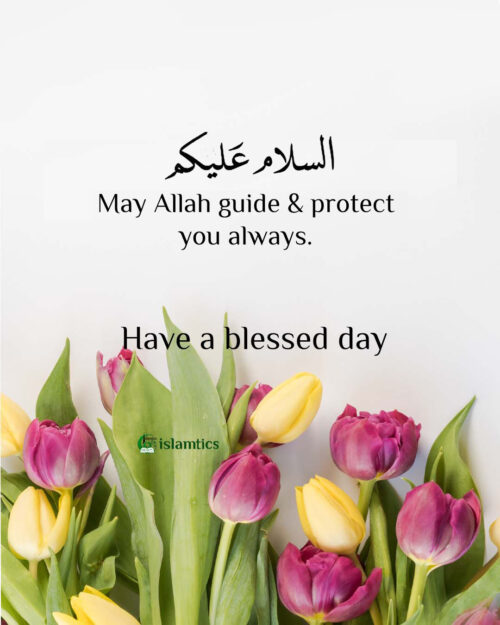 10+ May Allah protect you Dua & Quotes (images) | islamtics