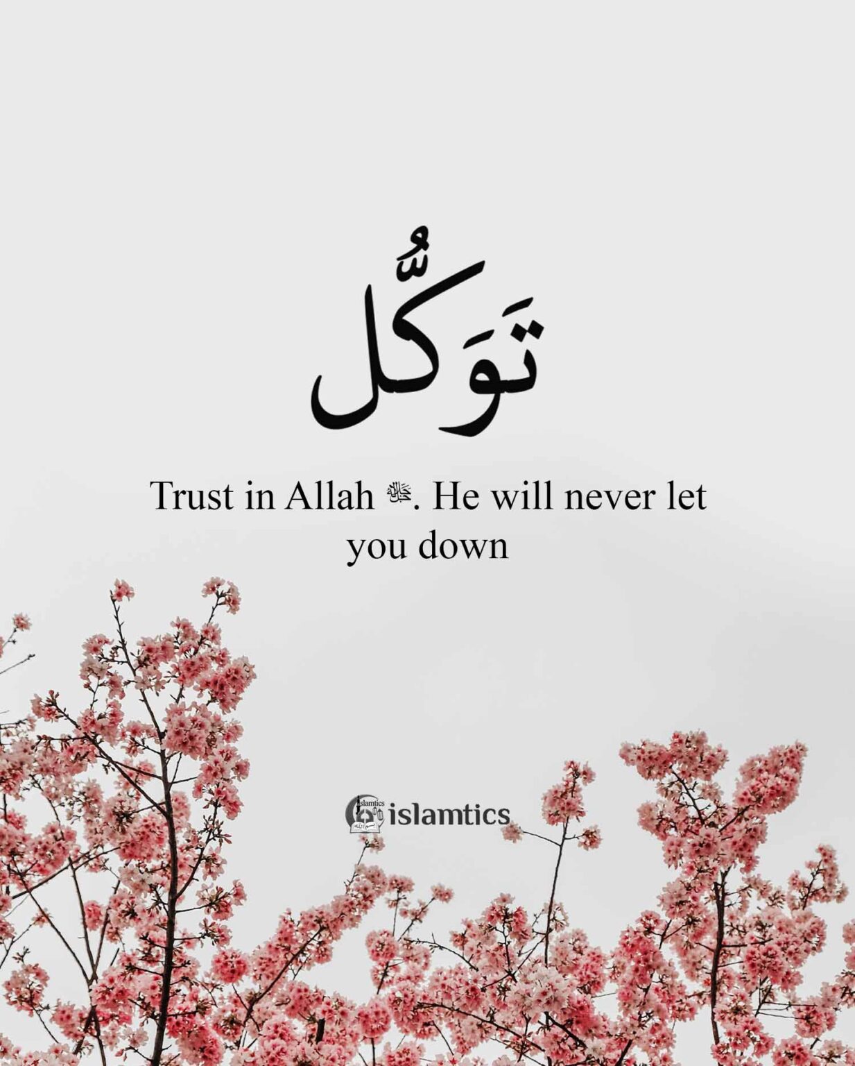 Trust in Allah ﷻ. He will never let you down | islamtics