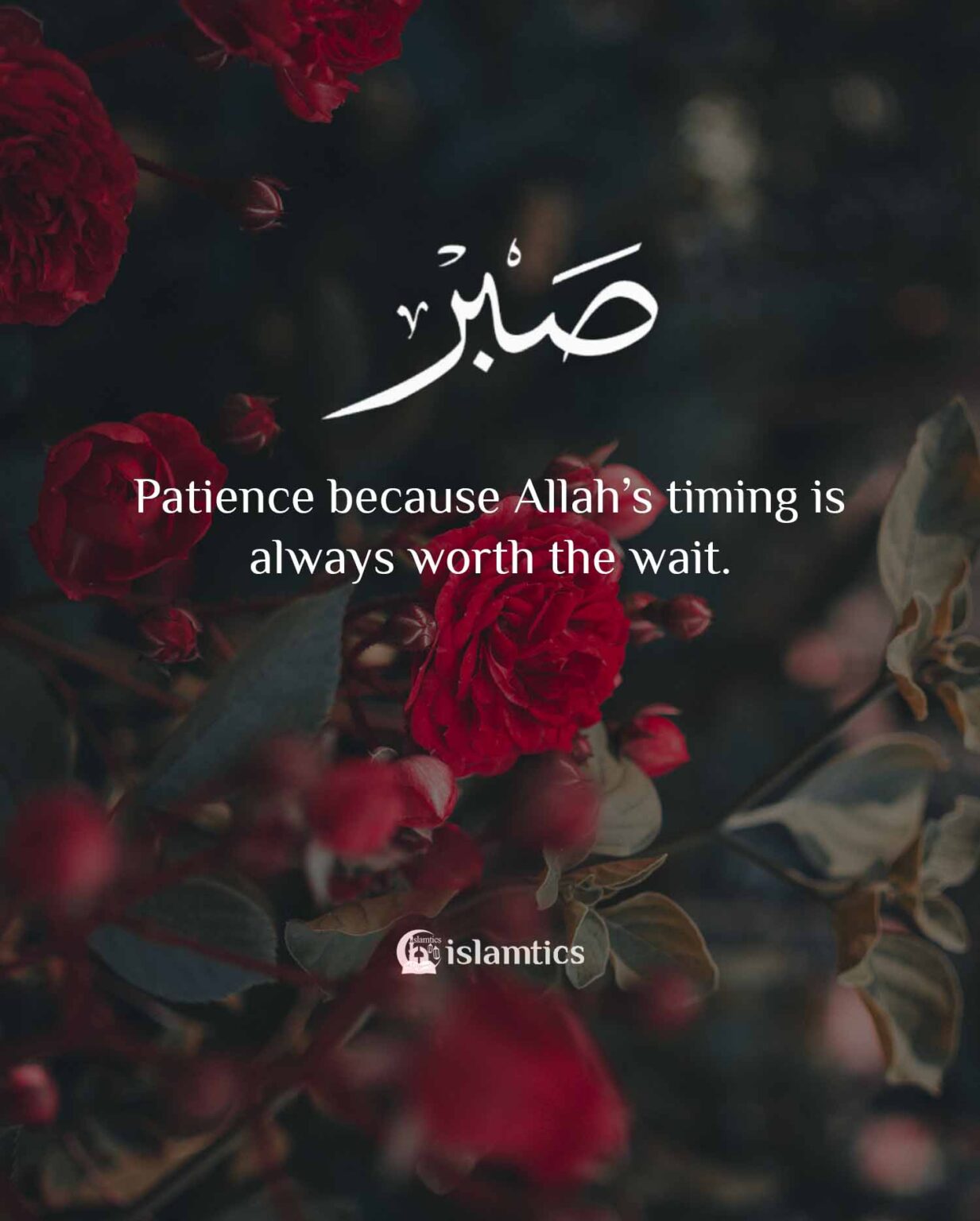 Allah rewards you for sure if you have patience. | islamtics