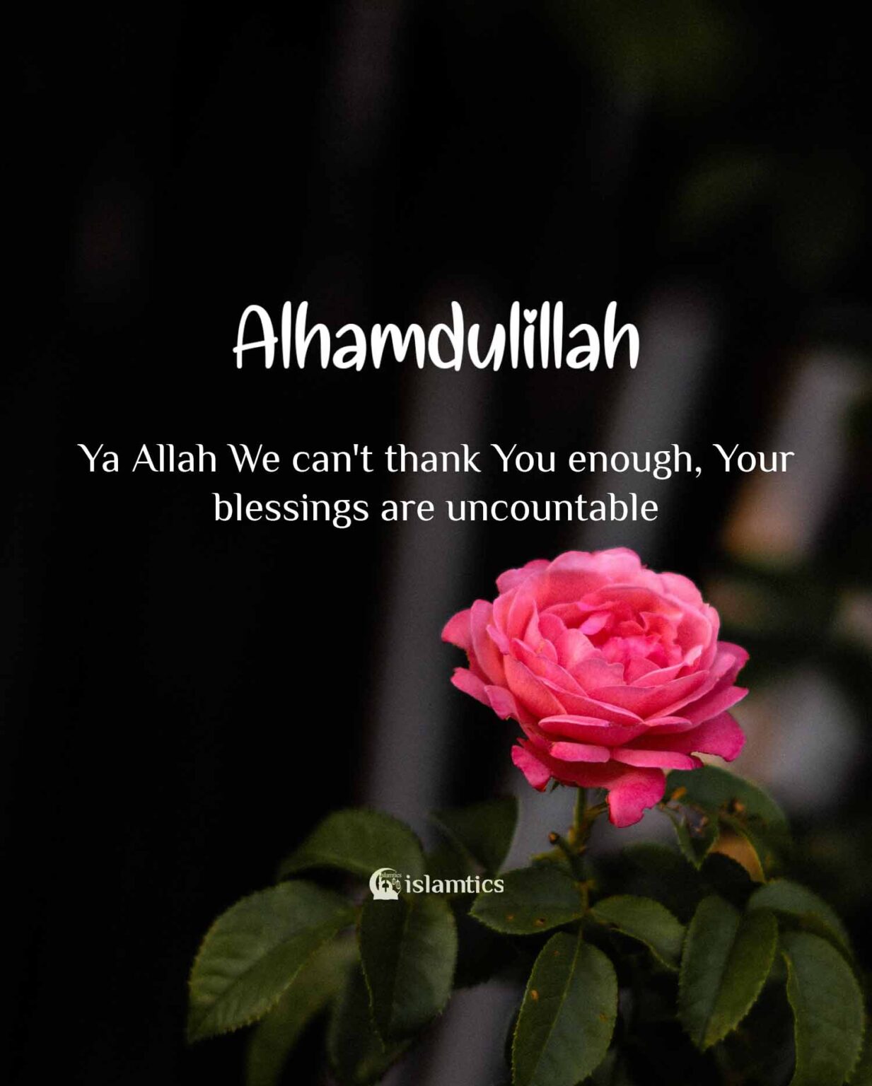 70+ Beautiful Alhamdulillah Quotes (With Images) | islamtics