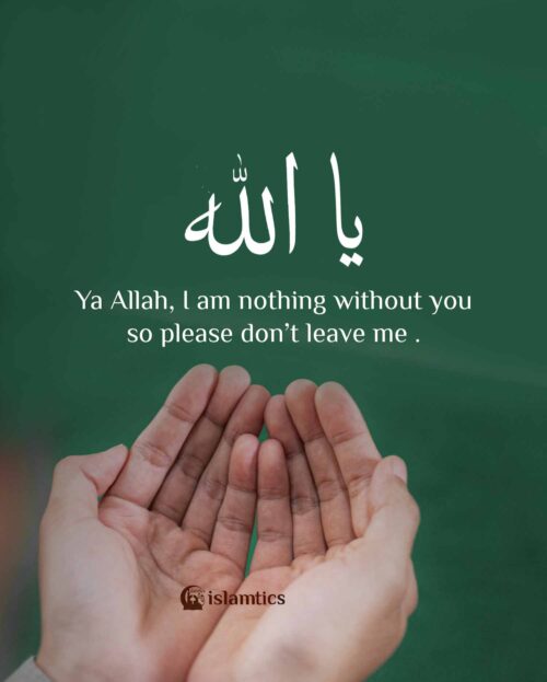 Always look back & thank Allah, look forward & trust him | islamtics