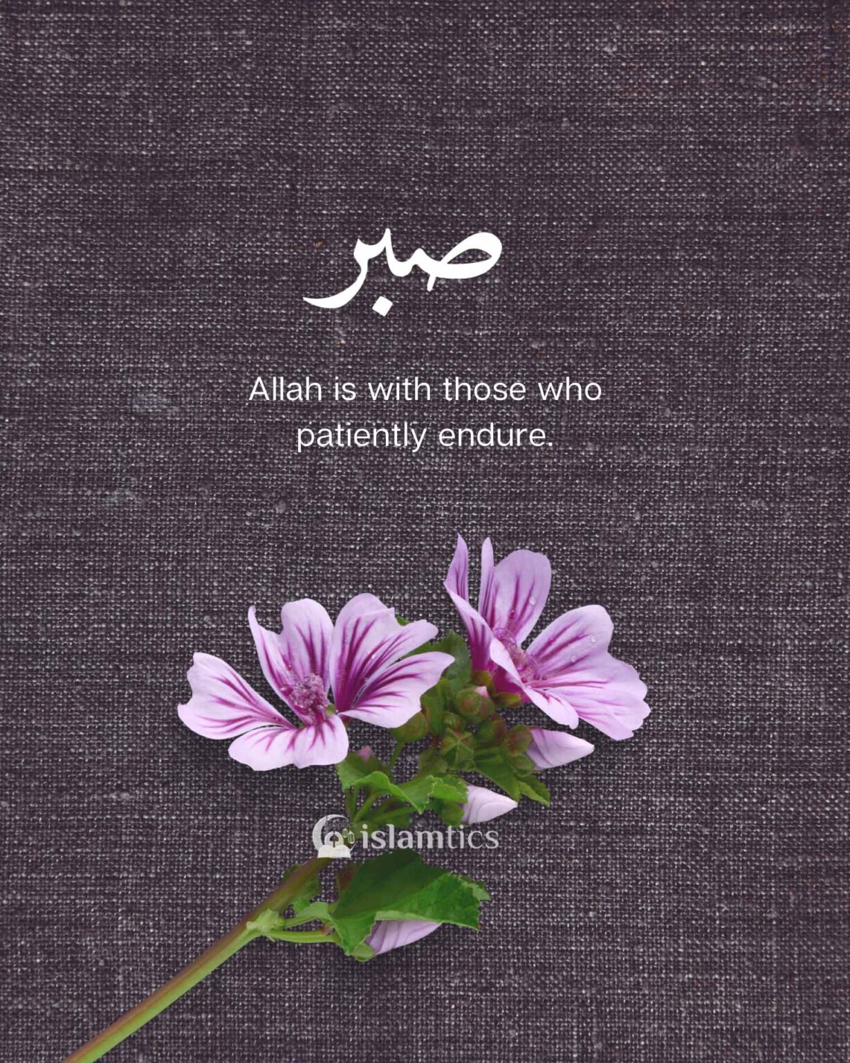 100+ Beautiful Sabr Quotes in English (Islamic Quotes about Patience ...