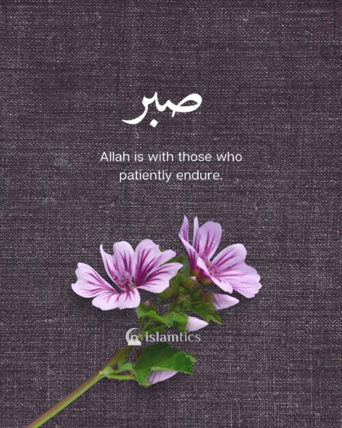 100+ Beautiful Sabr Quotes in English (Islamic Quotes about Patience ...