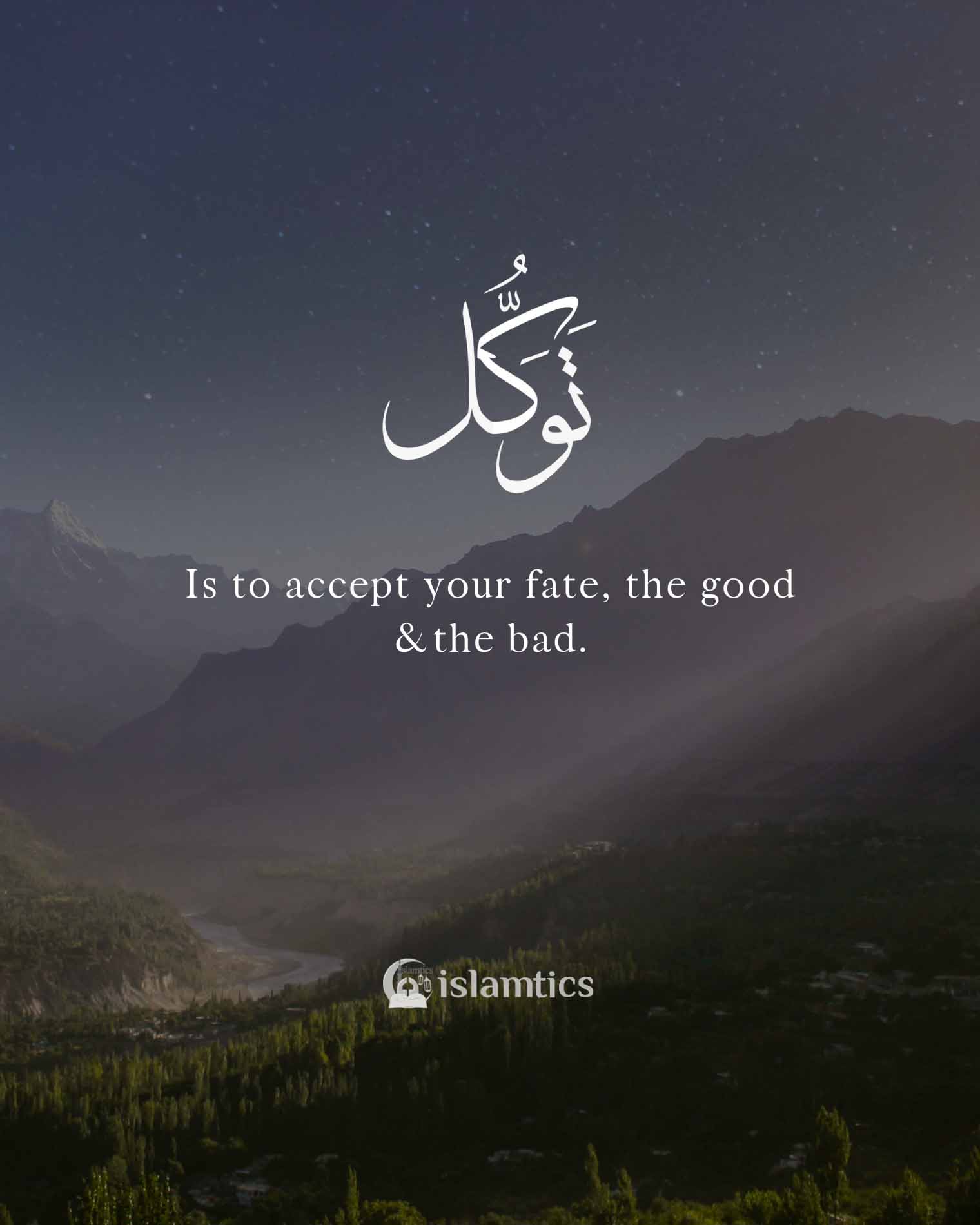 55+ Inspiring Tawakkul Quotes -Trust in Allah- (Images)