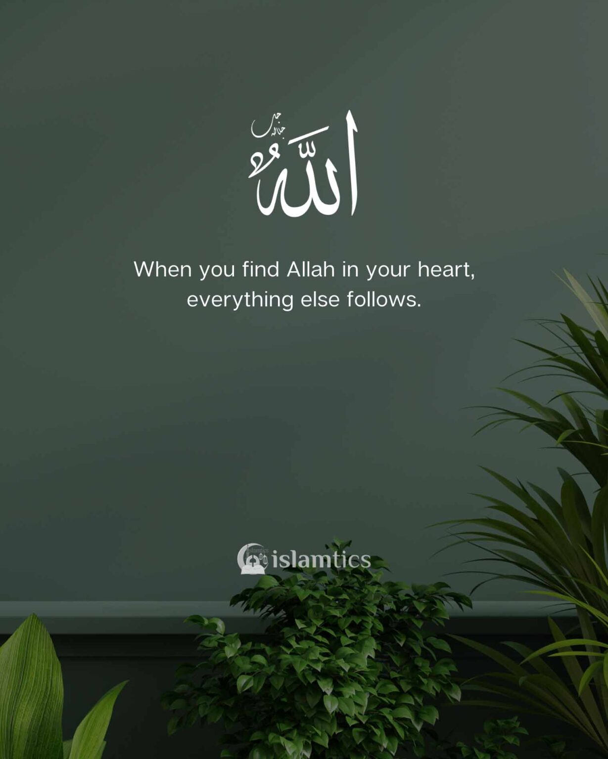 When you find Allah in your heart, everything else follows | islamtics