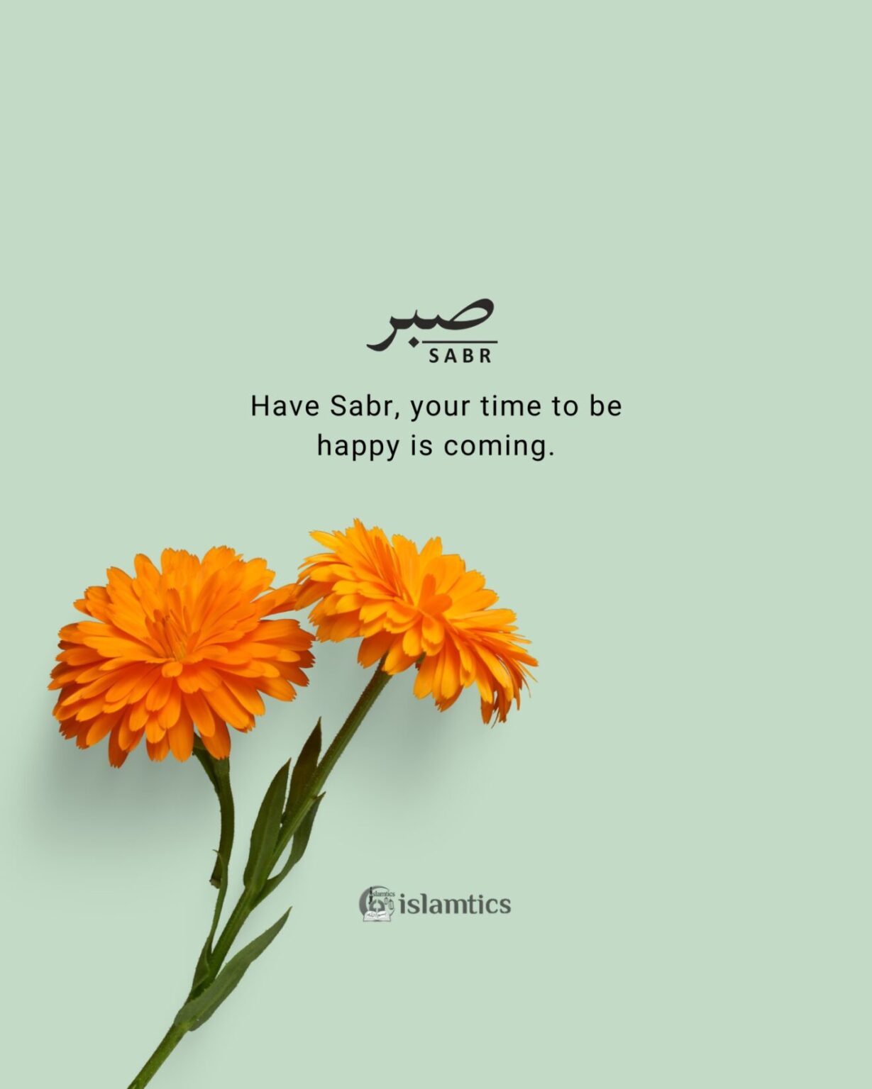 Sabr is To be happy with whatever Allah has given to you | islamtics
