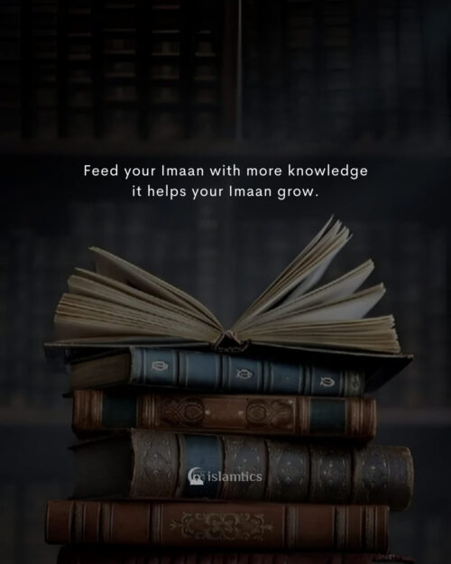 Feed your Imaan with more knowledge it helps your Imaan grow. | islamtics