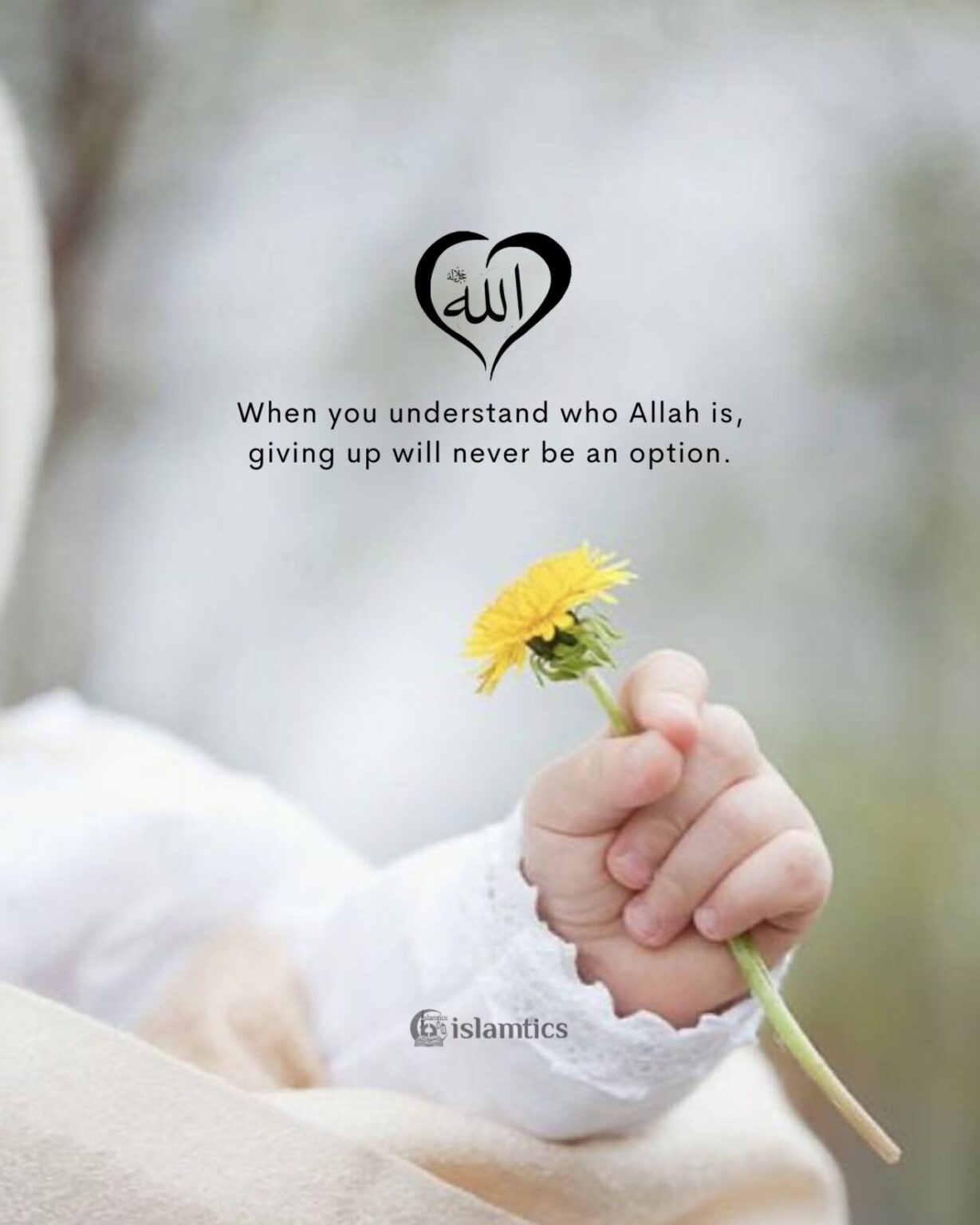 When you understand who Allah is, giving up will never be an option ...