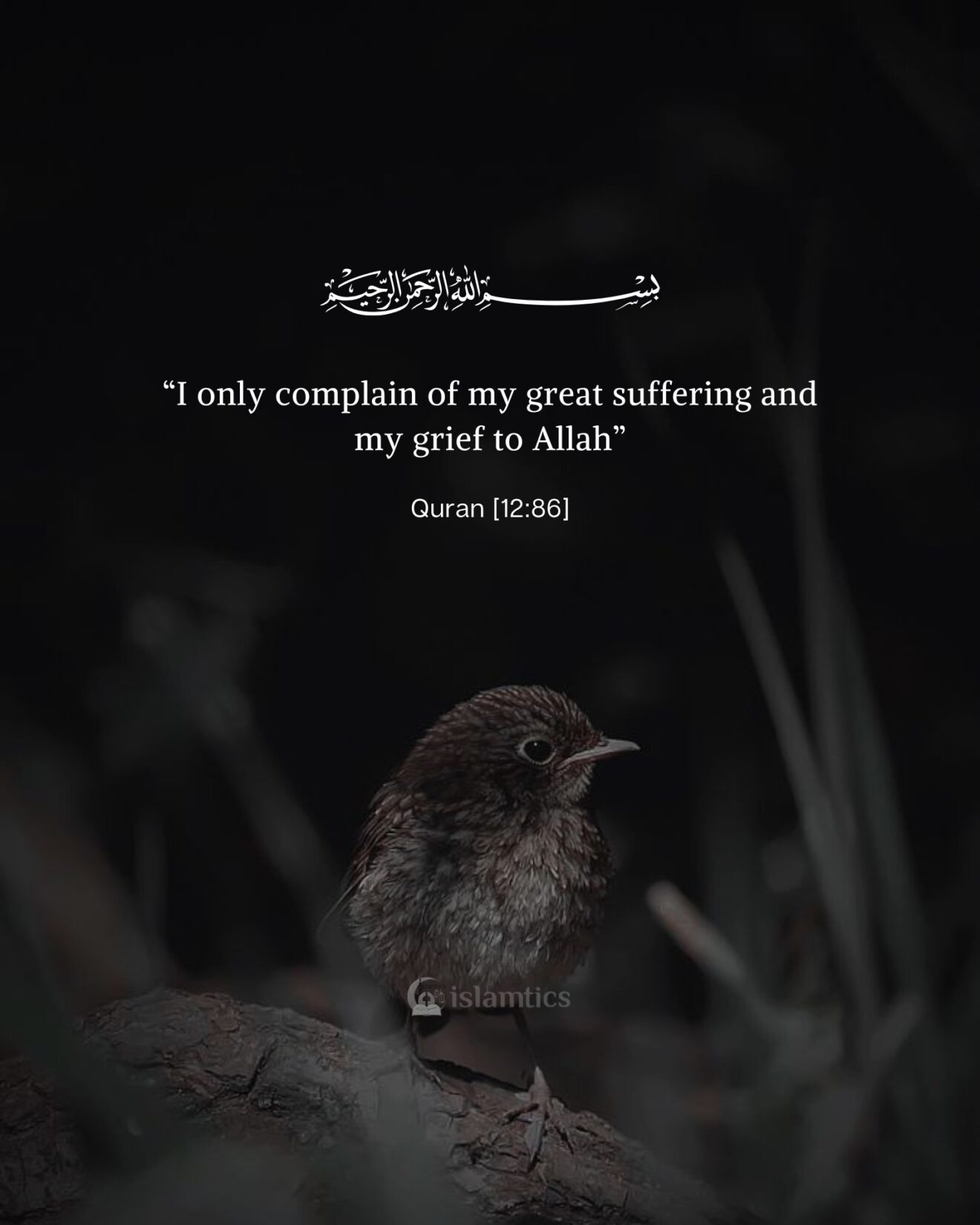“I only complain of my great suffering and my grief to Allah” | islamtics