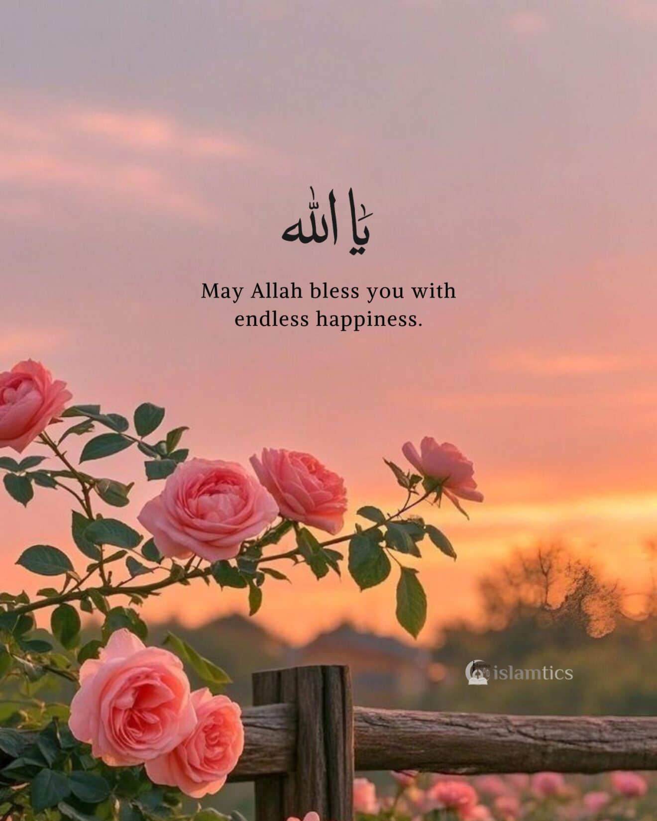May Allah bless you with endless happiness. | islamtics