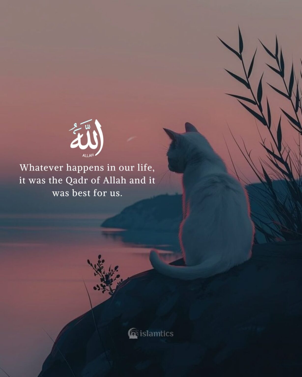 Whatever happens in our life, it was the Qadr of Allah and it was best ...